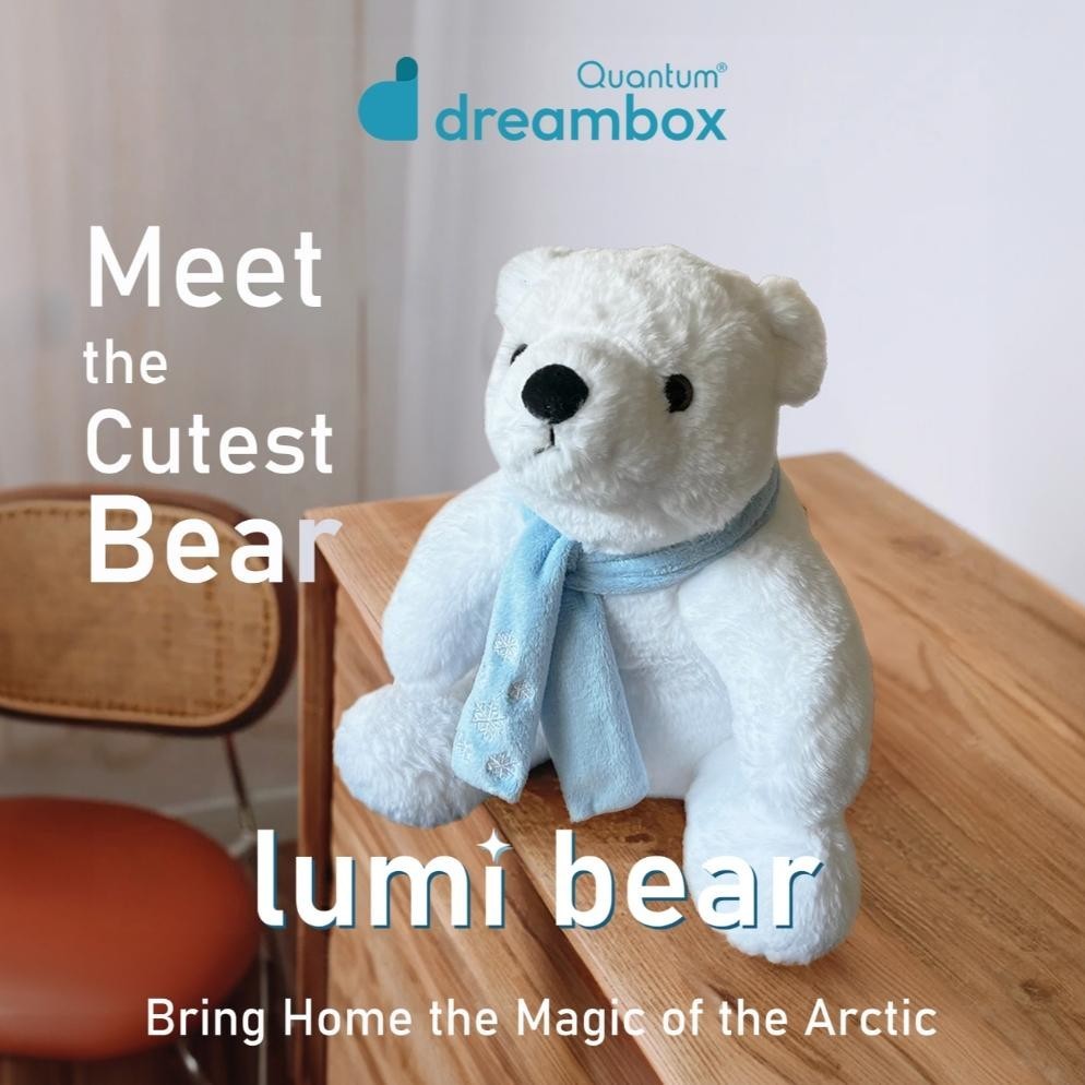 Jual Quantum Dreambox Lumi Bear / Boneka BeruangKutub | Shopee Indonesia