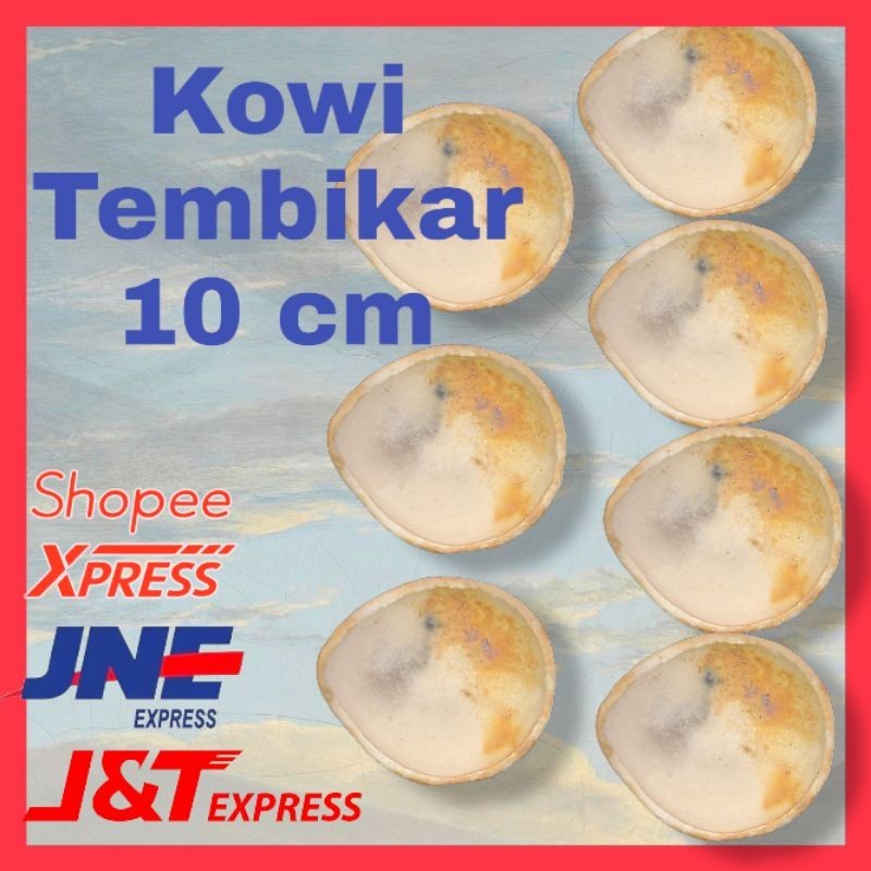Jual Kowi|Tembikar|Emas Ukuran 10cm Jumlah 7 Pcs | Shopee Indonesia