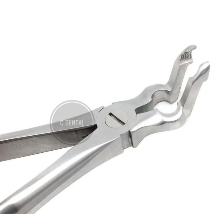 Jual TYU Dental Molar Bayonet Long Slim Shank Forcep Extraction Wisdom ...