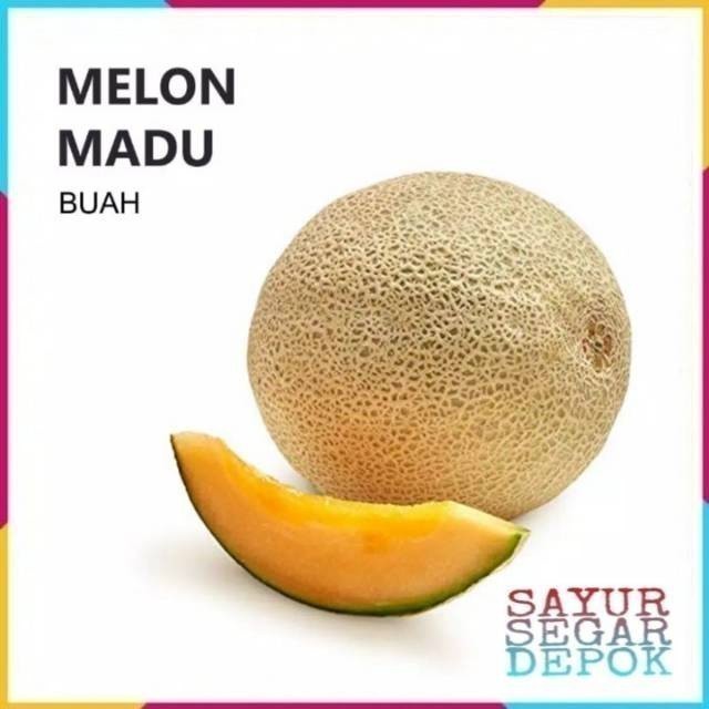 Jual MELON MADU / HONEY MELON | Shopee Indonesia