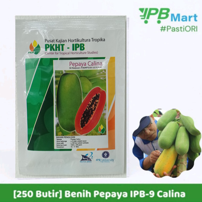Jual Benih Pepaya Calina Pkht Ipb 9 (California) Callina | Shopee Indonesia
