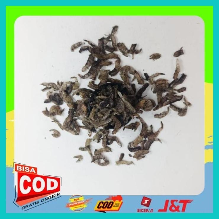 Jual UDANG KERING PAKAN CHANNA ASIATICA BLACK SHRIMP UDANG PAKAN IKAN ... Jual UDANG KERING PAKAN CHANNA ASIATICA BLACK SHRIMP UDANG PAKAN IKAN ...