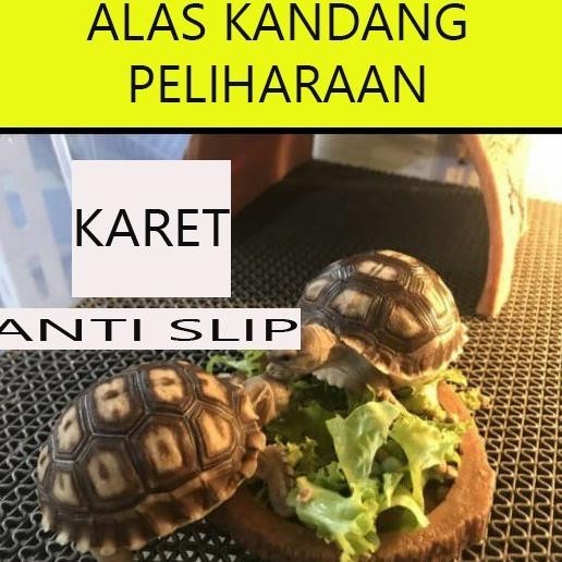 Jual Alas Kandang Hewan Peliharaan Kucing Anjing Kelinci Reptil 30 X 60 ...