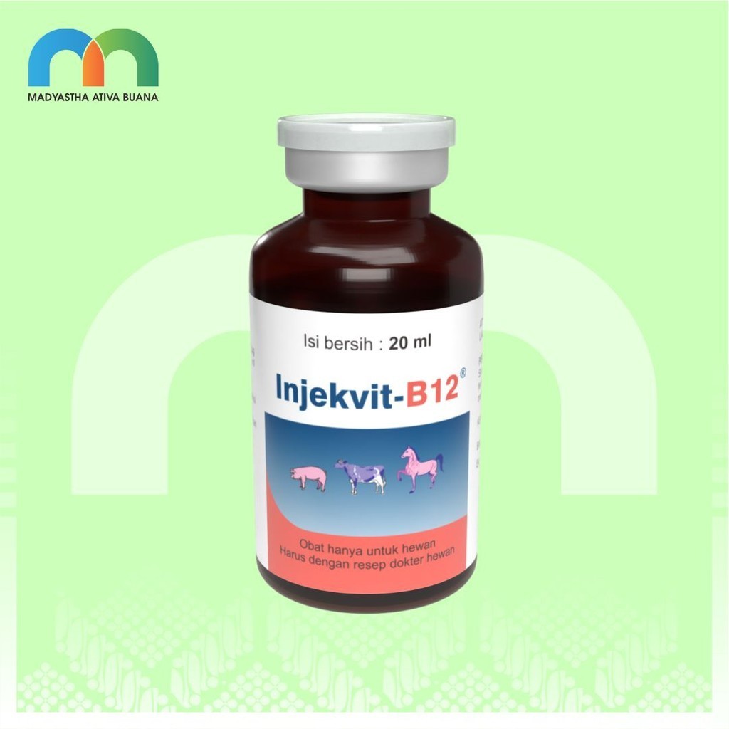 Jual Inj Vit B12 Btl 20 Ml Medion Multivitamin Hewan Besar | Shopee ...