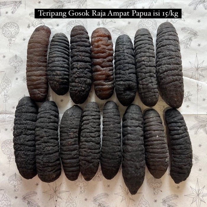 Jual Teripang Gosok Haisom Raja Ampat Papua Isi 15pc/kg A9 | Shopee ...