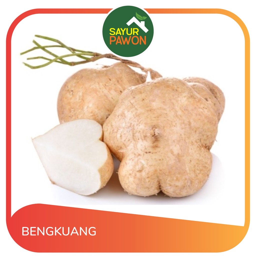 Jual Bengkuang per Kg - Sayur Pawon Jogja | Shopee Indonesia