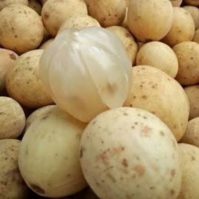 Jual BUAH DUKU per 500 gr | Shopee Indonesia