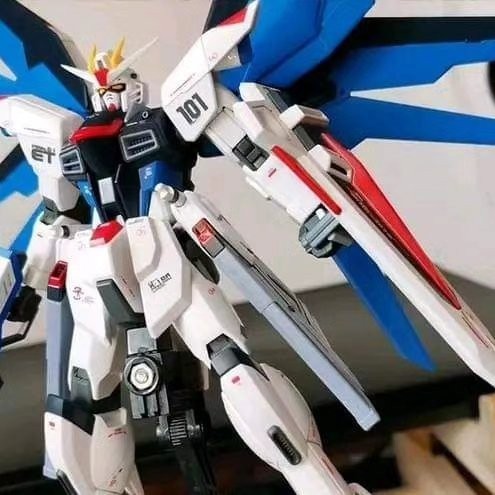 Jual Hg 1/144 Freedom Fighter Jms Model Kit | Shopee Indonesia