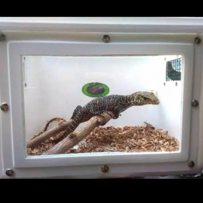Jual Kandang Reptil Kadal Ular Kecil | Shopee Indonesia