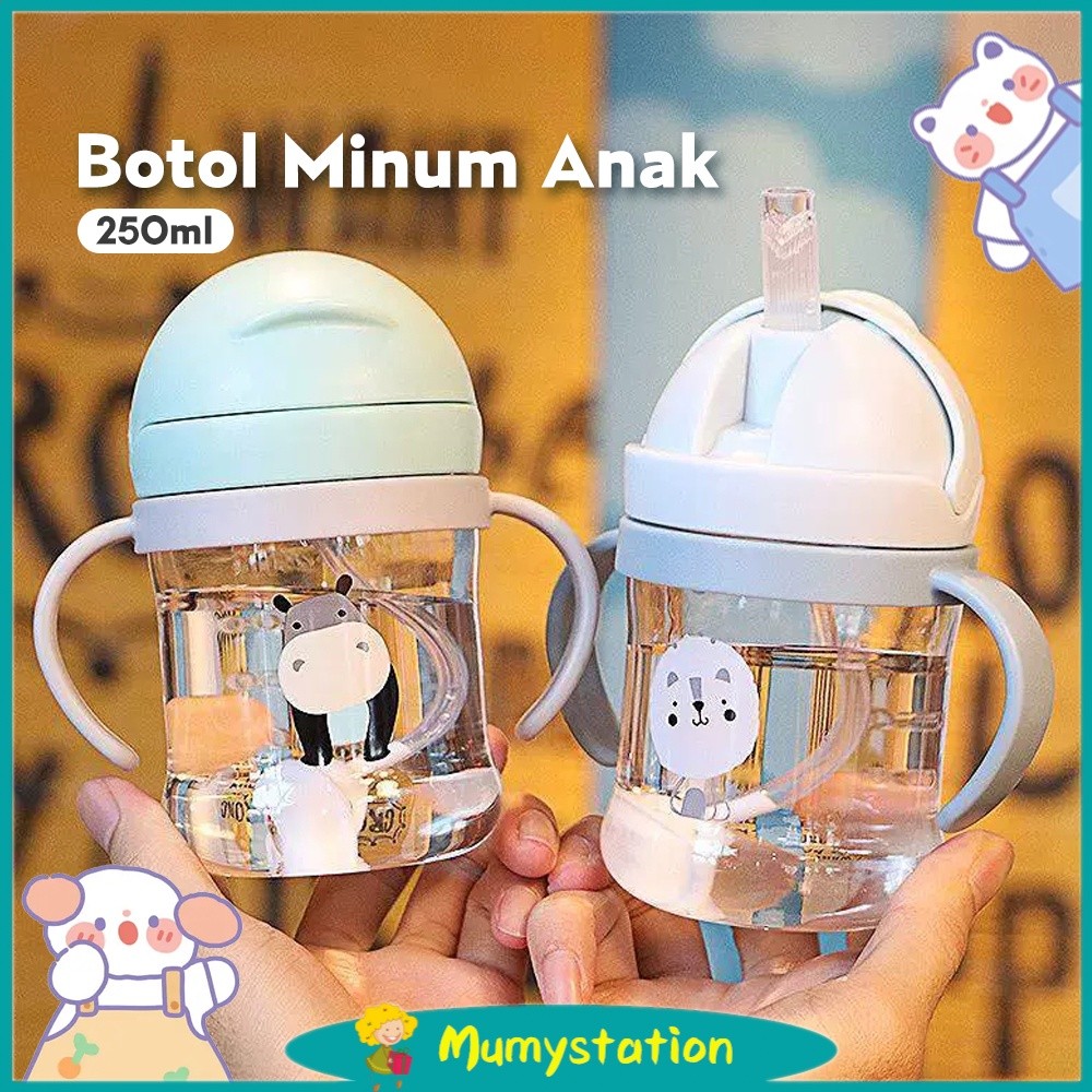 Jual Mumystation Botol Minum Bayi Gelas Anak Balita Training Cup Baby Karakter Lucu 250Ml ...