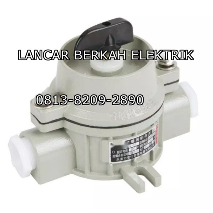 Jual Saklar Explosion Proof Selector Switch On Off Sw-10 Yaming ...