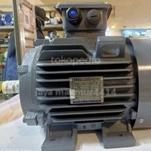 Jual Induction Motor Teco 3 Hp 3 Phase Rpm 1400 4 Pole Rpm 2800 2 Pole ...