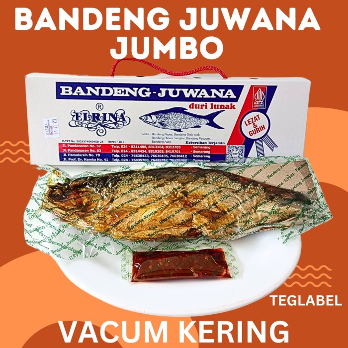 Jual BANDENG JUWANA ERLINA JUMBO BANDENG PRESTO DURI LUNAK IKAN BANDENG ...