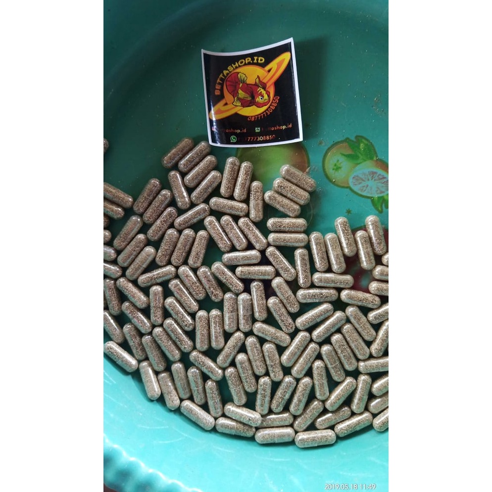Jual [CODE BARANG 526MON] Telur kutu air moina macrocoppa , starter ...