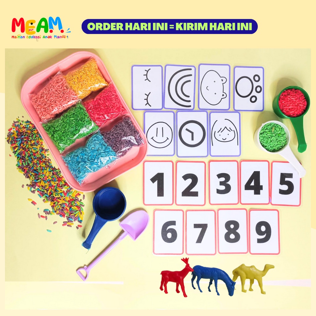 Jual MEAM Sensory Rice Beras Warna Warni Montessori Rainbow Rice ...