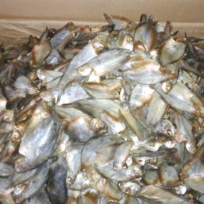 Jual Ikan asin sepat rawa super | Shopee Indonesia
