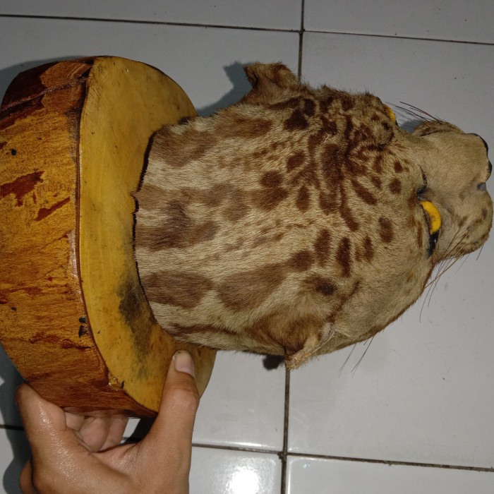 Jual [Best Seller] Patung Kuno Ukir Barang Antik Peninggalan Keraton ...