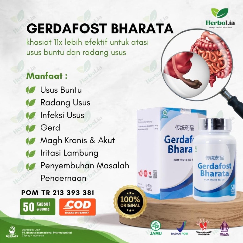 Jual Obat Herbal Usus Buntu Radang Usus Gerd Bharata Gerdafost | Shopee ...
