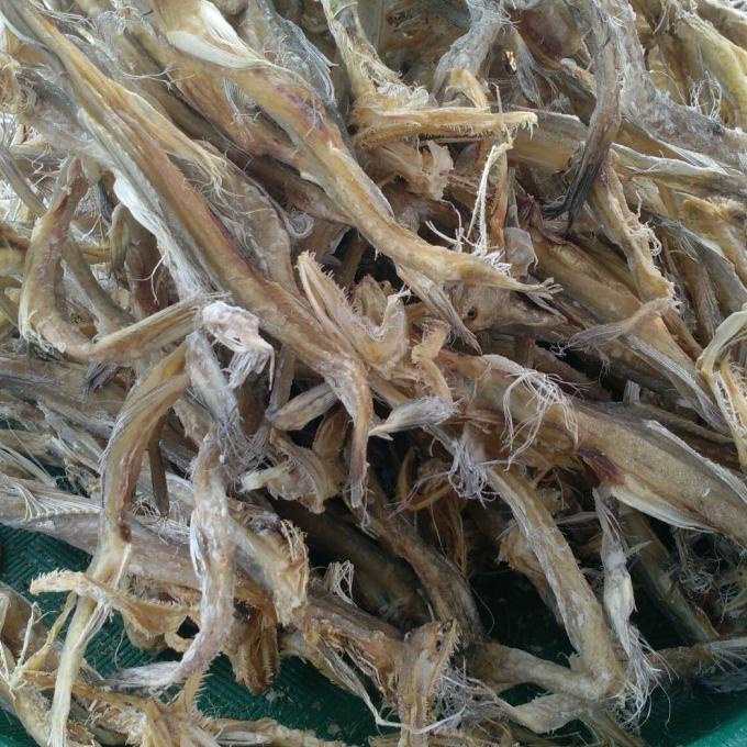 Jual ikan lomek asin Pku | Shopee Indonesia