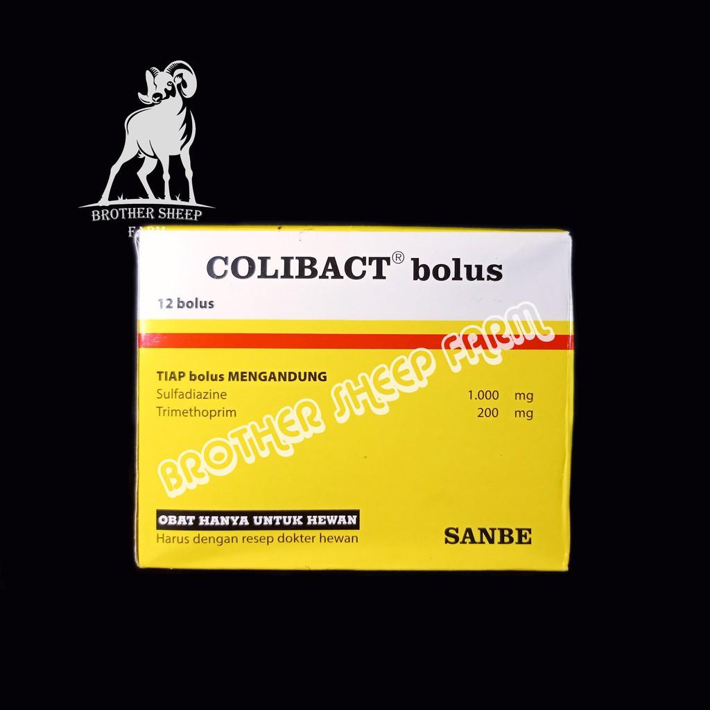 Jual COLIBACT bolus obat mencret sakit pencernaan sapi domba Best ...