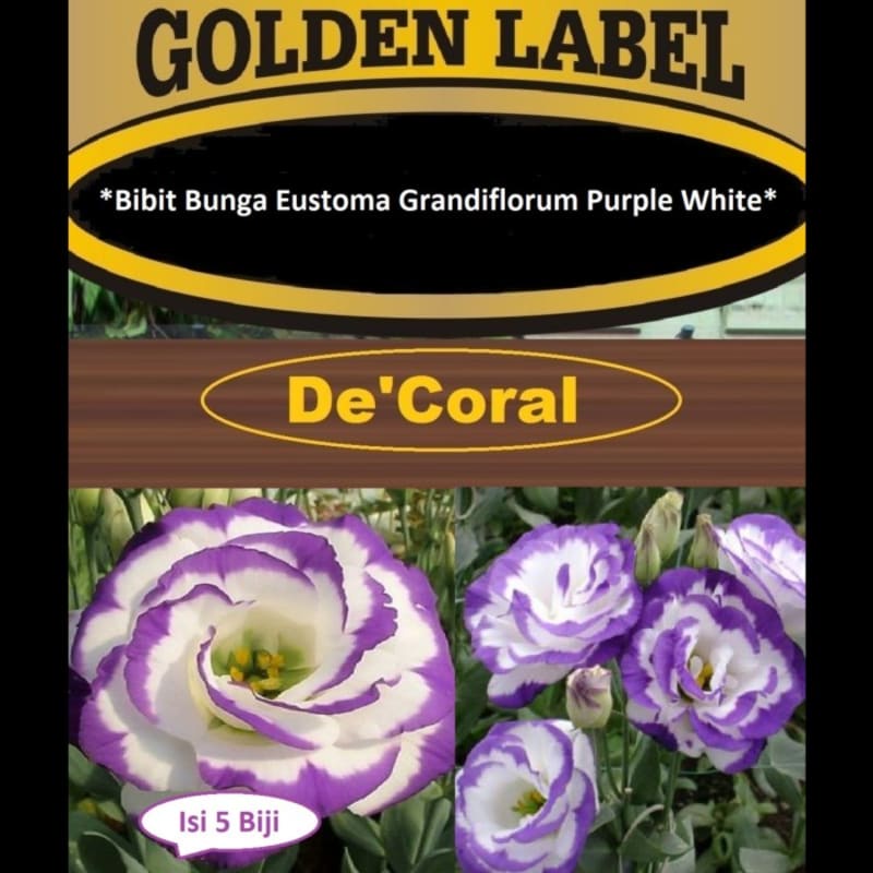 Jual Bibit Bunga Eustoma Grandiflorum Purple White |Benih Bunga Eustoma ...