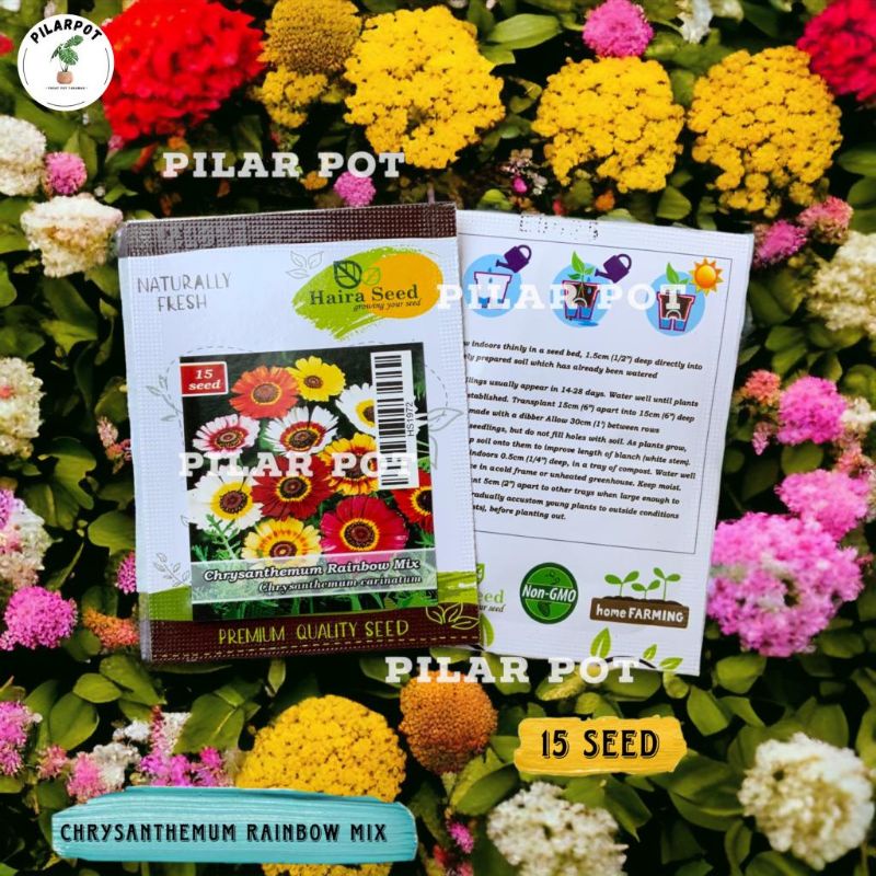 Jual Benih Bibit Bunga Krisan Rainbow Mix Haira Seed - CHRYSANTHEMUM ...