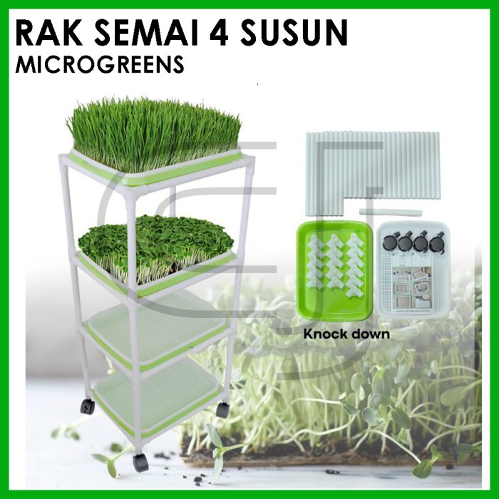 Jual Ready Rak Semai Microgreen 4 Susun Hidroponik Rak Tray Knock Down ...