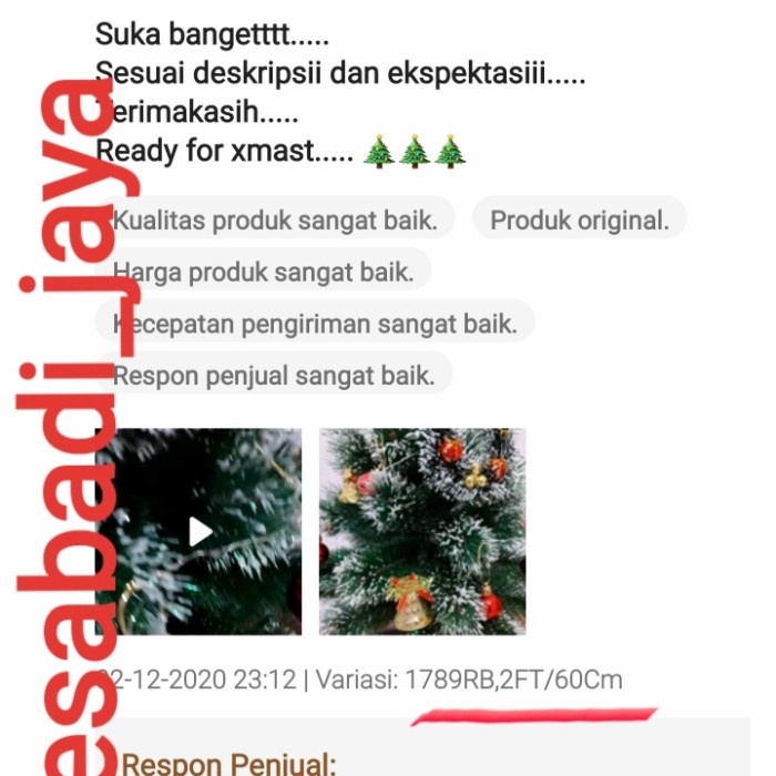 Jual ANDC - Pohon Natal (1789RB) ALASKA RAINBOW FIR TREE ukuran 5FT ...