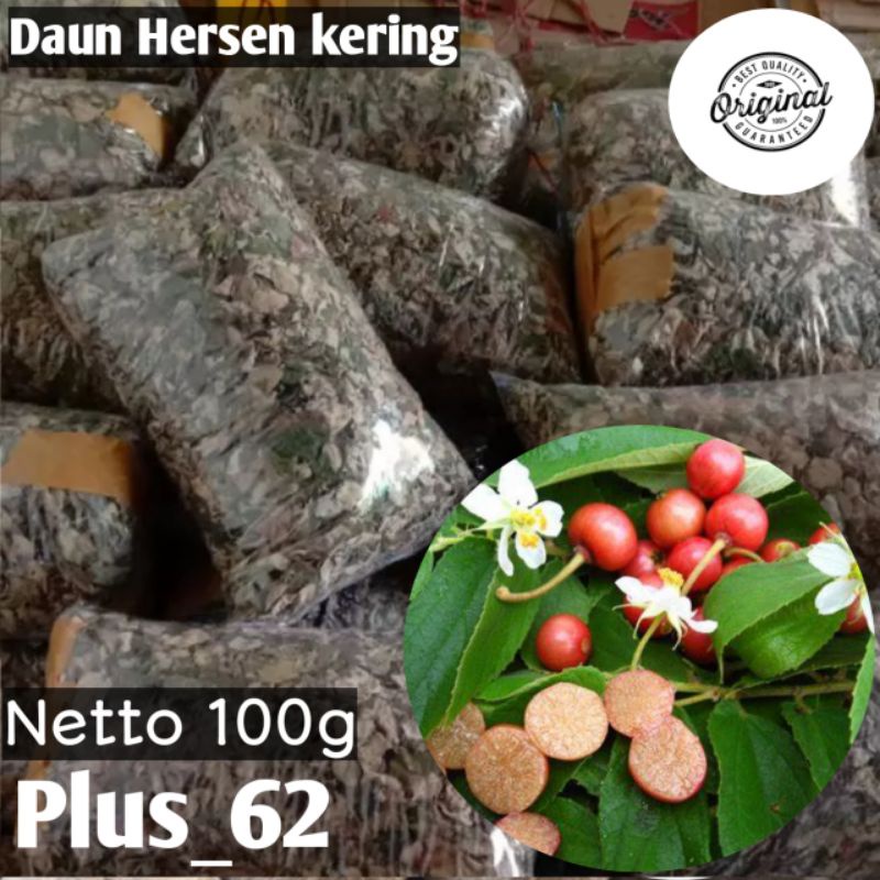 Jual Daun hersen/kersen kering original herbs organik 100 g | Shopee ...