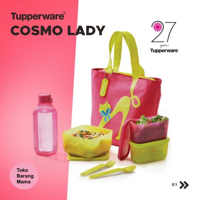 Jual Tas Bekal Tupperware Cosmo Lady Lunch Box Set | Shopee Indonesia