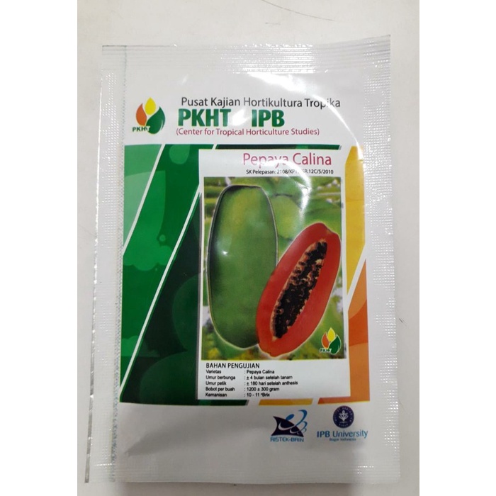 Jual Benih Pepaya Calina - Pkht Ipb | Shopee Indonesia