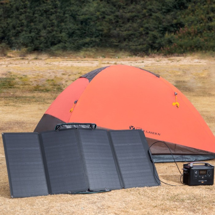Jual EcofLow Solar Panel Portable 160W Panel Surya Lipat Camping ...