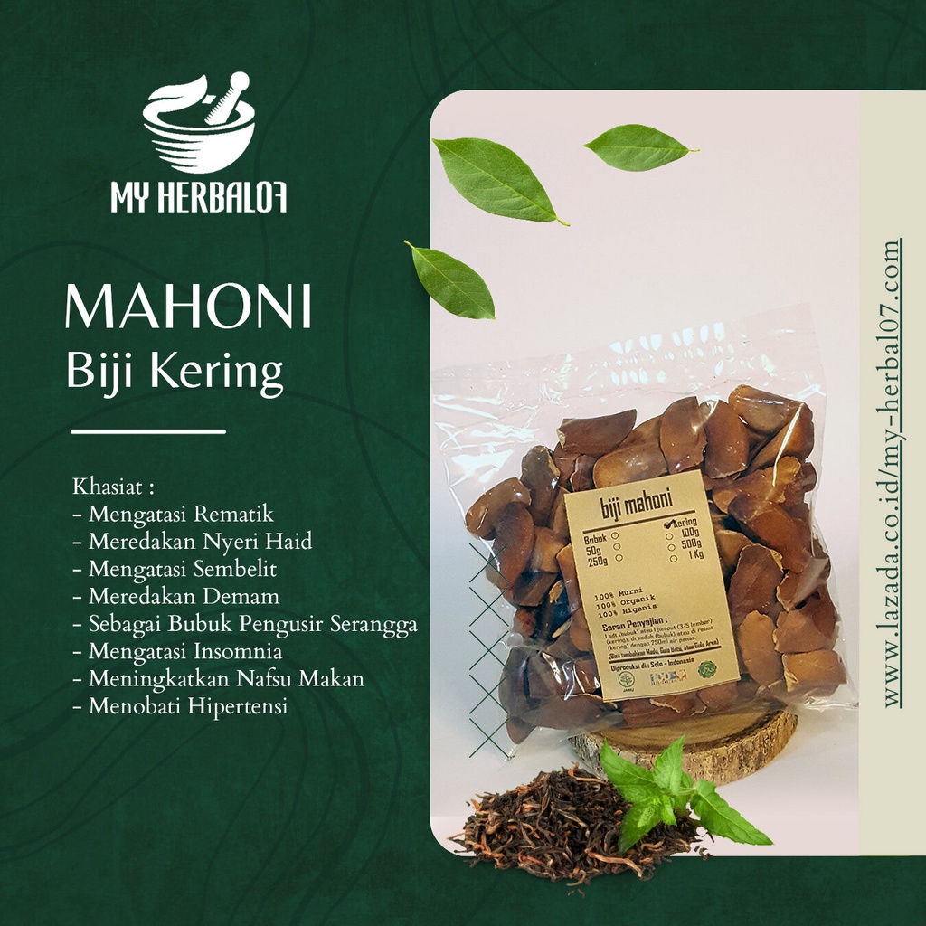 Jual Herbal Kesehatan Biji Mahoni Kering / Swietenia Macrophylla 100 ...