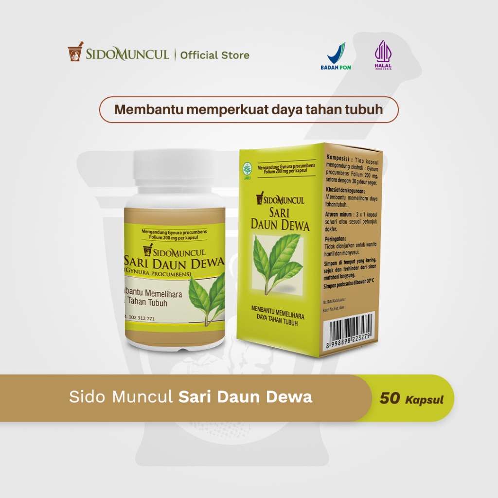 Jual Sido Muncul Natural Herbal Sari Daun Dewa 30’k - Membantu ...