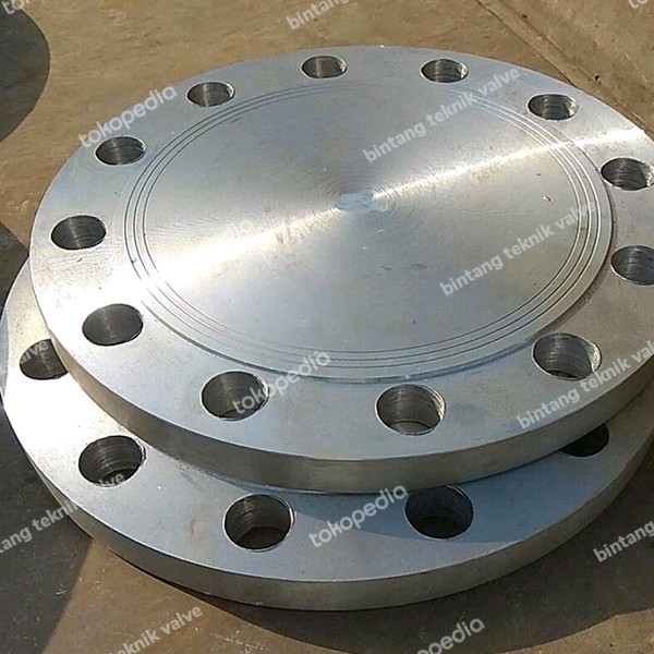 Jual Baru Blind Flange Stainless 6 Inch Jis 10K / Flange Buta 6 Inch ...