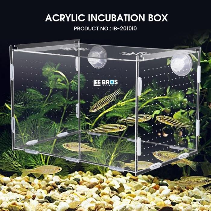 Jual ACRYLIC INCUBATION BOX / ISOLATION BOX / AKRILIK KARANTINA IKAN ...