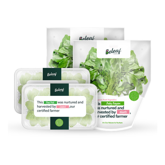 Jual Beleaf Farms Italian Stallion (2 Baby Bayam, 2 Basil Itali ...