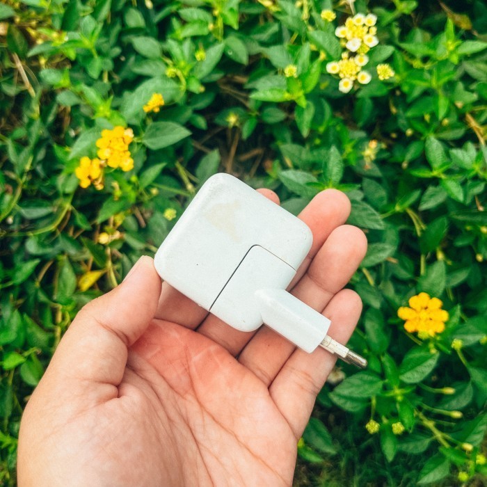 Jual Adaptor Charger iPhone iPad fast charging 12w original apple ...