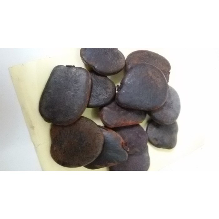 Jual New!!! BENIH POHON MERBAU Intsia Bijuga ( 1 Kg ) | Shopee Indonesia
