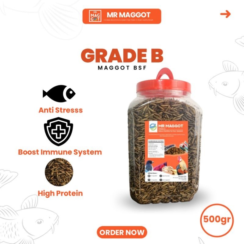 Jual MR Maggot BSF - Maggot/Magot Kering Grade B 500g Toples | Shopee ...