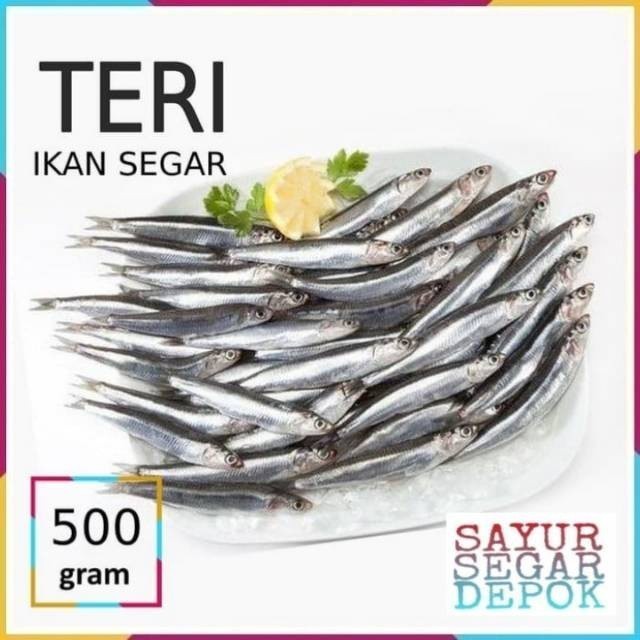 Jual IKAN TERI BASAH | Shopee Indonesia