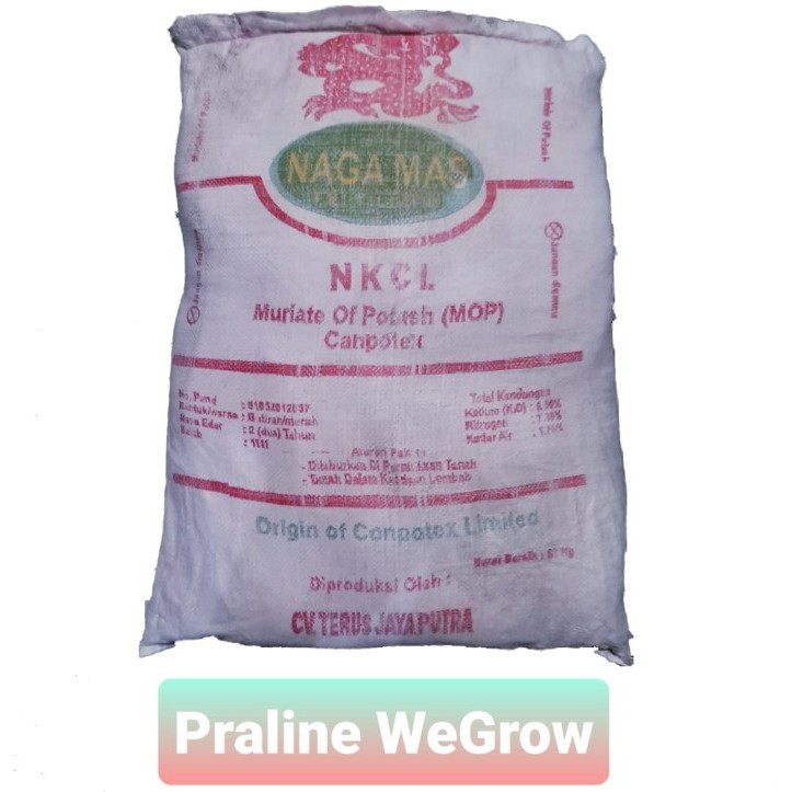 Jual Pupuk Nkcl Naga Mas 50 Kg Non Subsidi | Shopee Indonesia