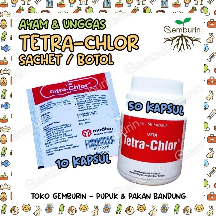 Jual Medion Vita Tetra-Chlor Obat Ayam Crd Snot Pilek Ngorok 10 / 50 ...