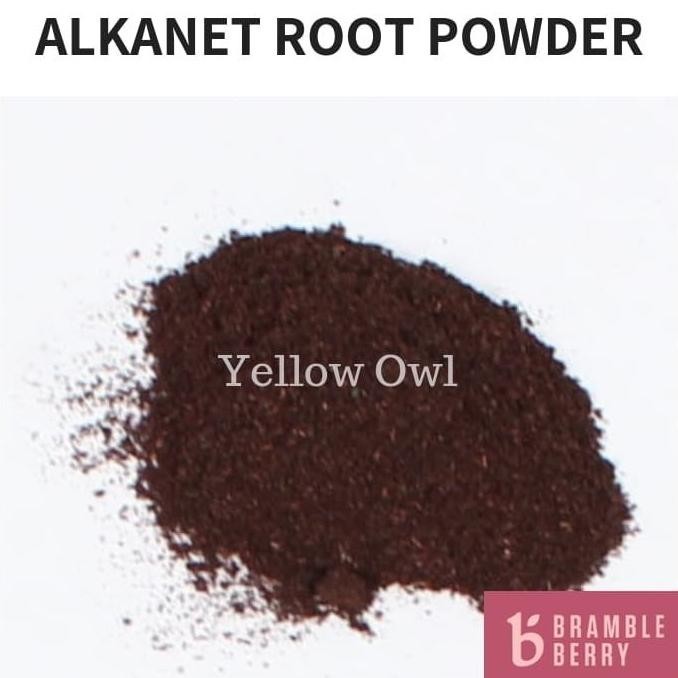Jual Alkanet Root Powder - 50 GR | Shopee Indonesia
