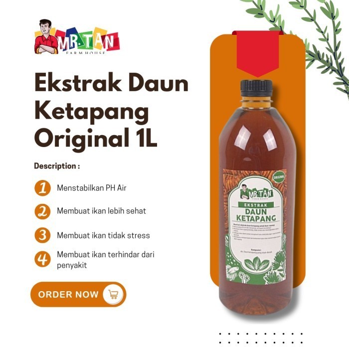 Jual MRTAN Ekstrak Daun Ketapang ORIGINAL 1L | Shopee Indonesia
