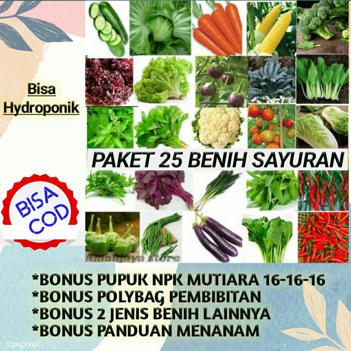 Jual Paket Bibit Benih 25 Jenis Sayuran / Hydroponik / Hidroponik Lengkap | Shopee Indonesia