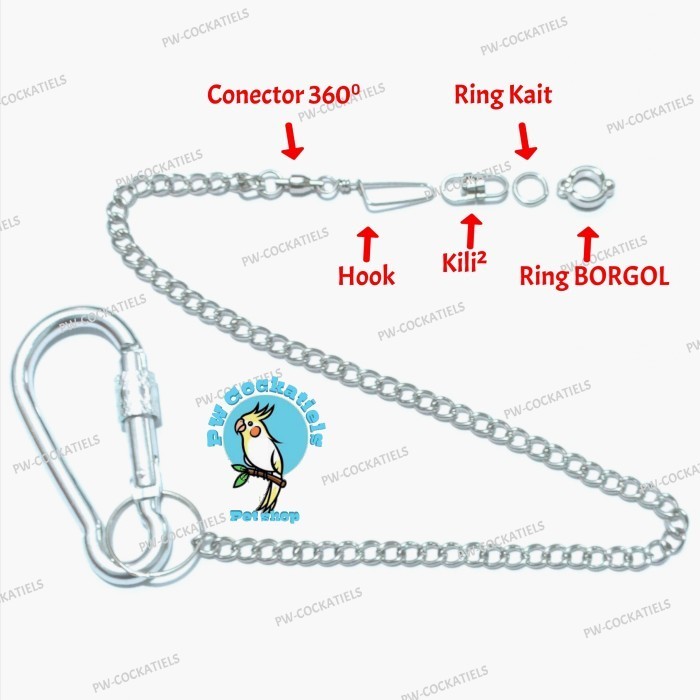 Jual Rantai Ring Borgol Cincin Burung Nuri Maluku Ambon / Nuri Kepala ...