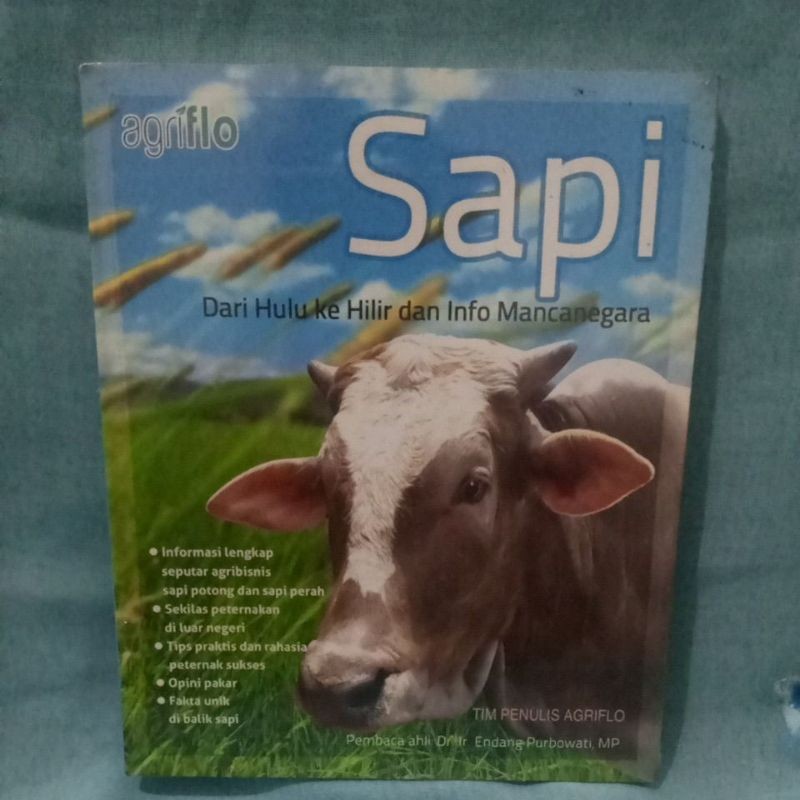 Jual BUKU SAPI DARI HULU KE HILIR DAN INFO MANCANEGARA | Shopee Indonesia