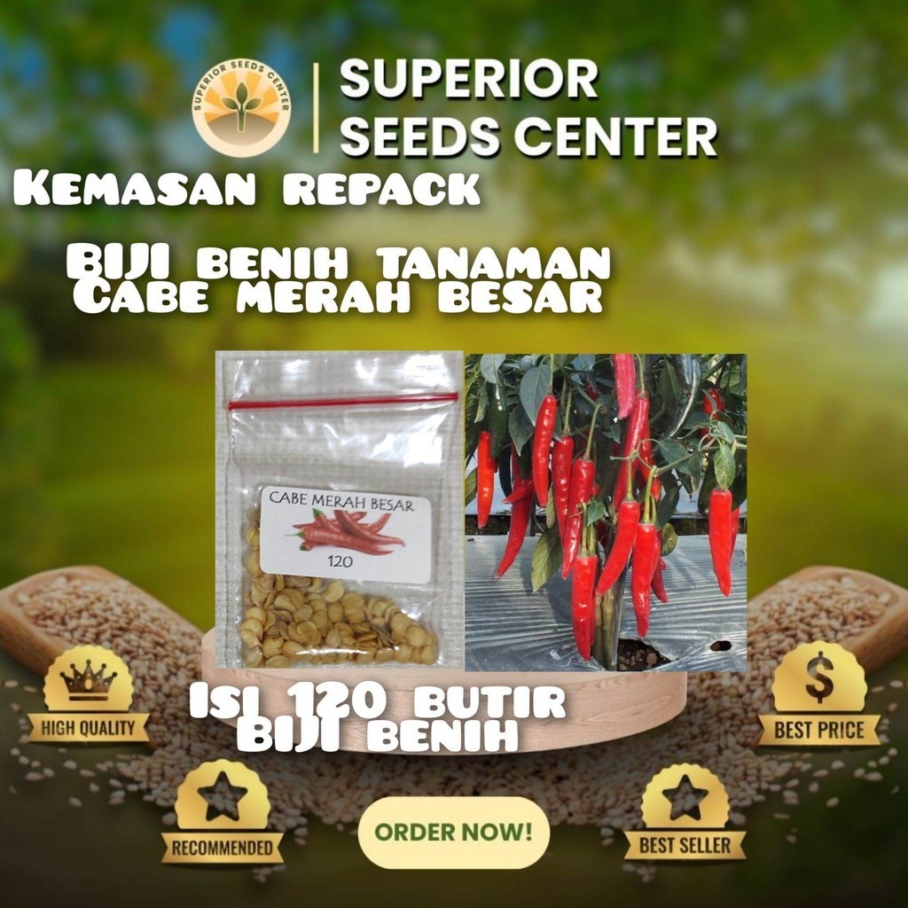 Jual kemasan repack 120 butir biji benih tanaman cabe merah besar siap ...