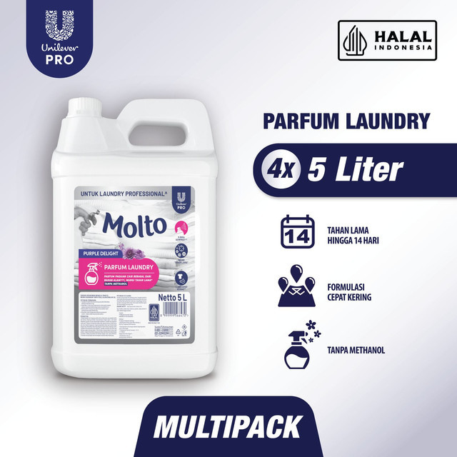 Jual Molto Parfum Laundry Professional Purple Delight Jerigen 5L x4 | Shopee Indonesia